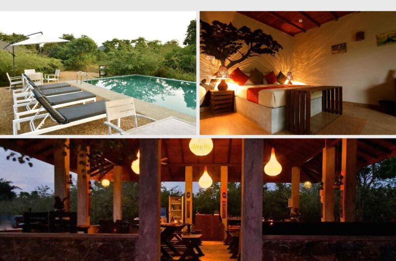 10 Best Hotels in Yala