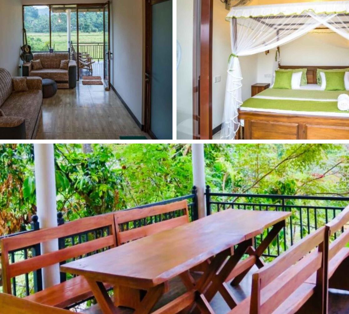 Wildlife Kingdom - Deniyaya Sinharaja