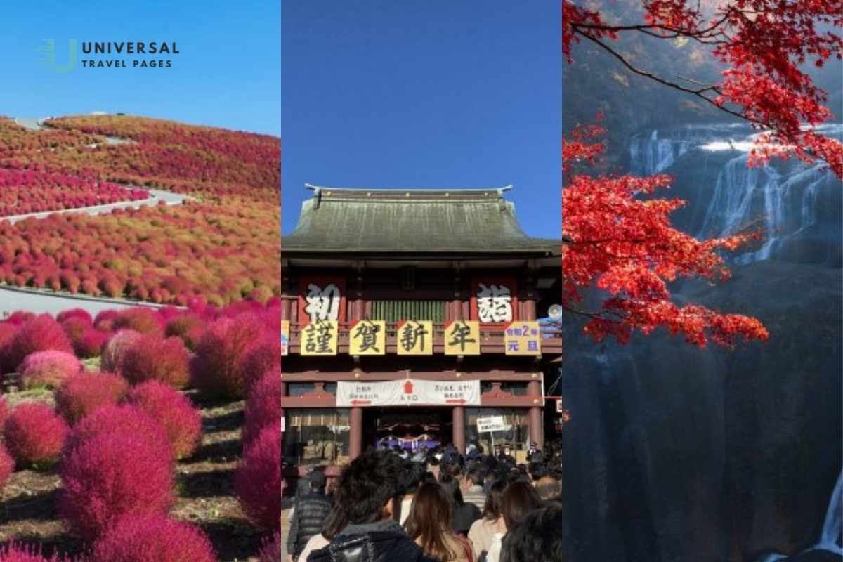 Best Time to Visit Ibaraki | Japan